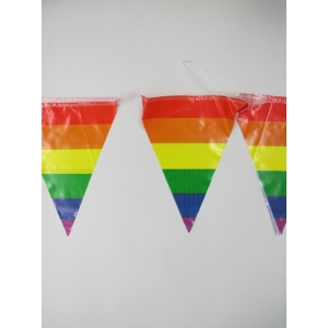 Rainbow Pennant Banner Flag